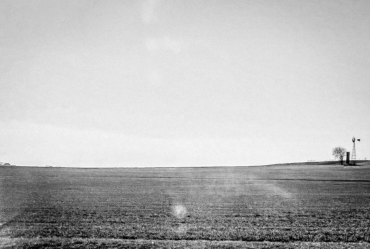 Another Poem Returns — Snowfall – The Poet Projects